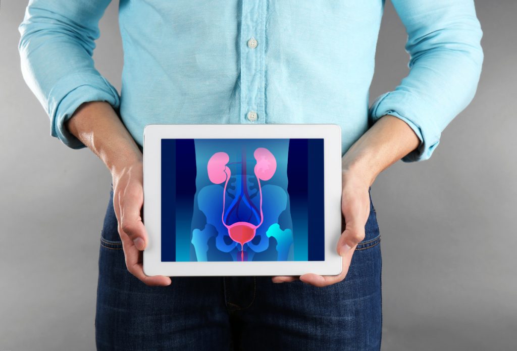 Man with tablet in hands. Urinary system on screen. Urology concept ...
