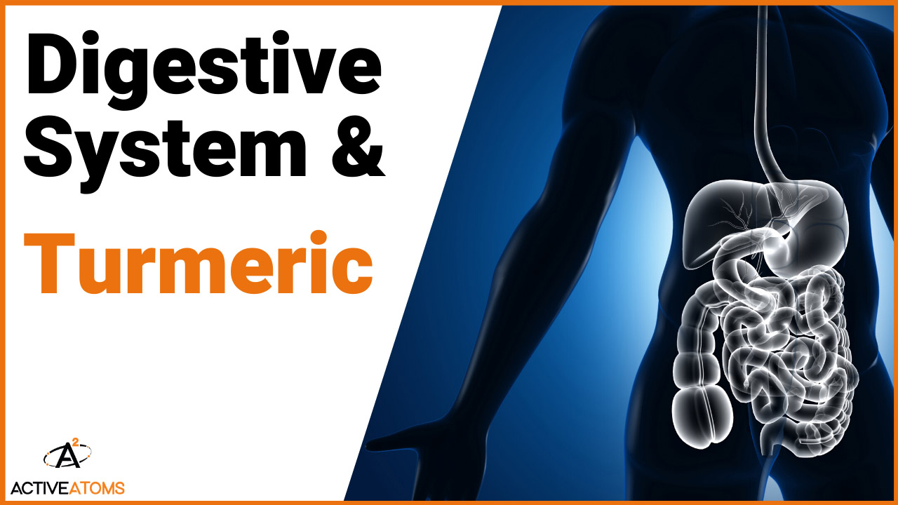 digestive system and turmeric - Active Atoms