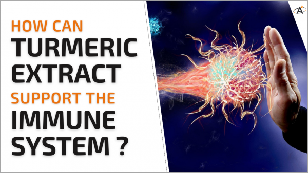 How Can Turmeric Extract Support the Immune System? - Active Atoms